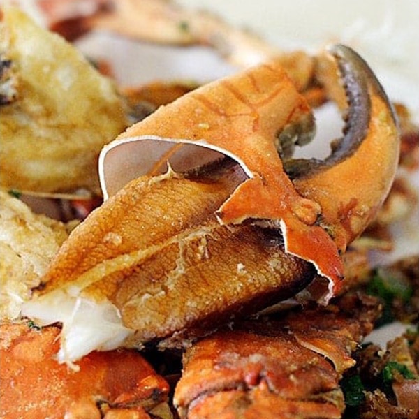 Recipes | Rasa Malaysia