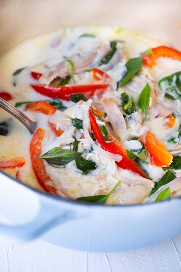 Spicy Coconut Chicken Stew - Rasa Malaysia