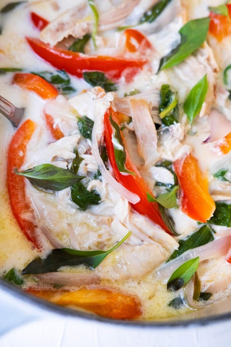 Spicy Coconut Chicken Stew - Rasa Malaysia