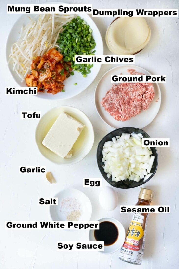 Pan-Fried Mandu - Rasa Malaysia