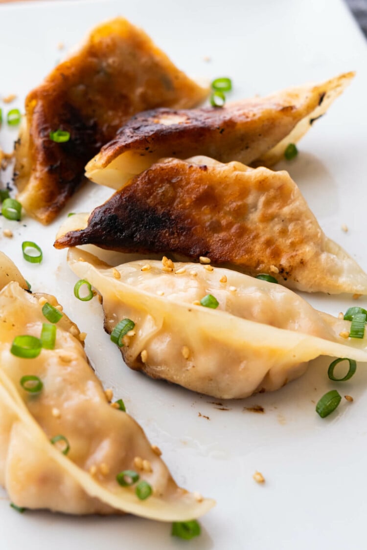 Pan-Fried Mandu - Rasa Malaysia