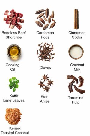 Beef Rendang (The BEST Recipe!) - Rasa Malaysia