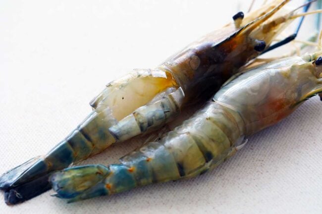 Pan Fried Fresh Water Prawn - Rasa Malaysia