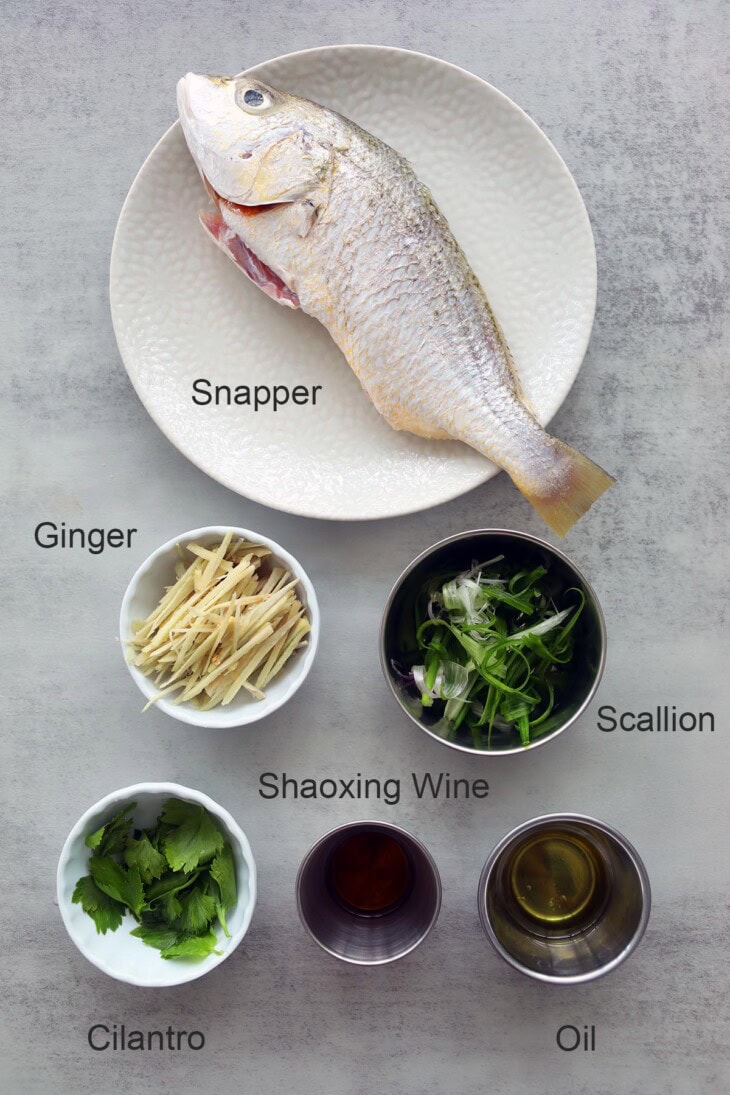 Steamed Fish (The Best Recipe!) - Rasa Malaysia