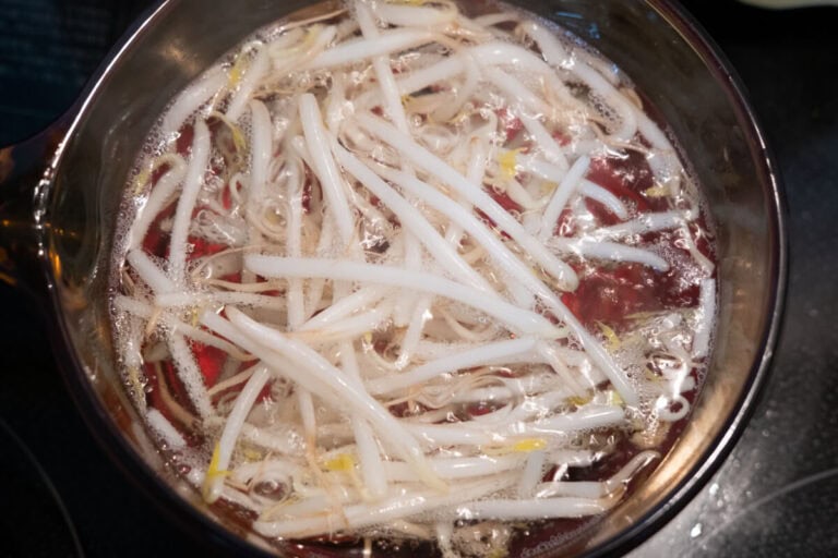 Korean Dumplings (Mandu) - Rasa Malaysia