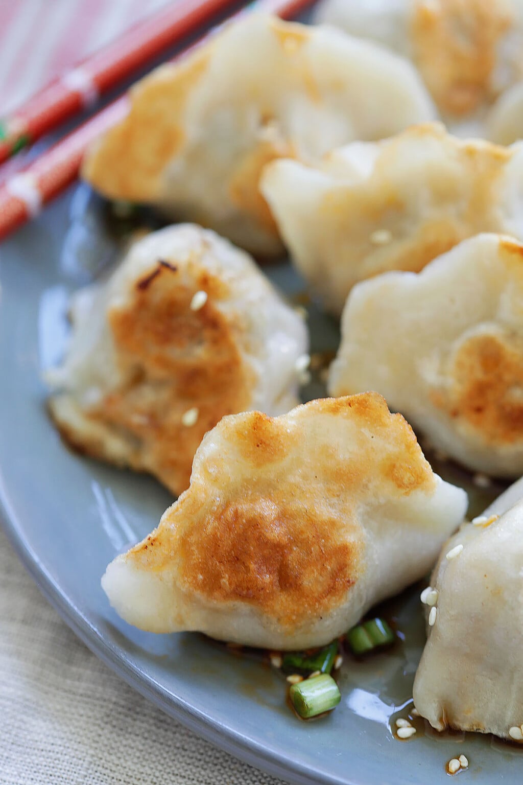 Pan Fried Dumplings - Rasa Malaysia - Street Food Spectacle