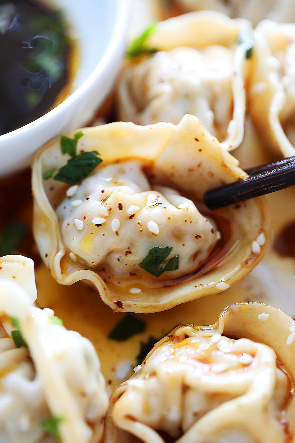Sichuan Red Oil Wontons - Rasa Malaysia
