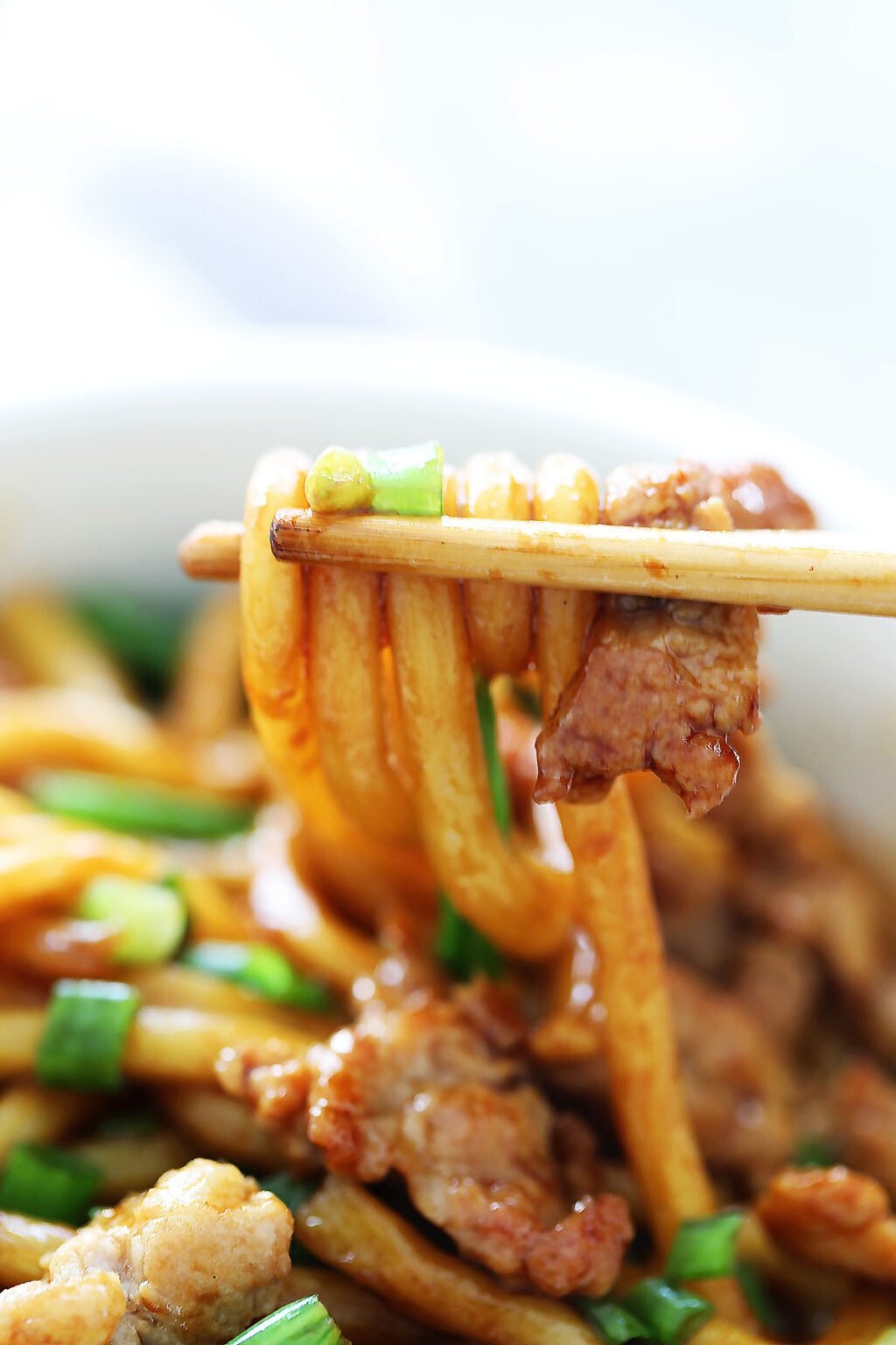 Shanghai Fried Noodles - Rasa Malaysia